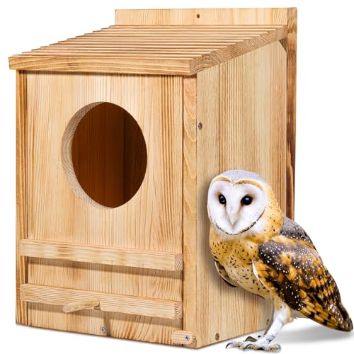 Barn Owl Bird Box: Best Nesting Box 9