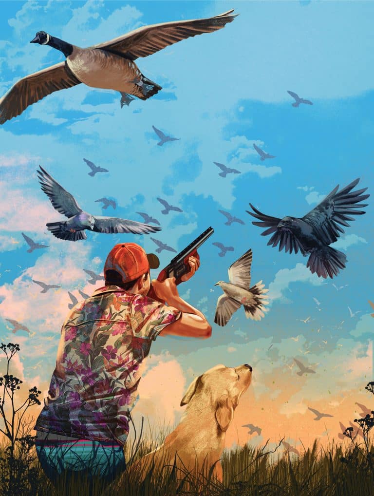 Best Place to Bird Hunt: Expert Guide for Hunters