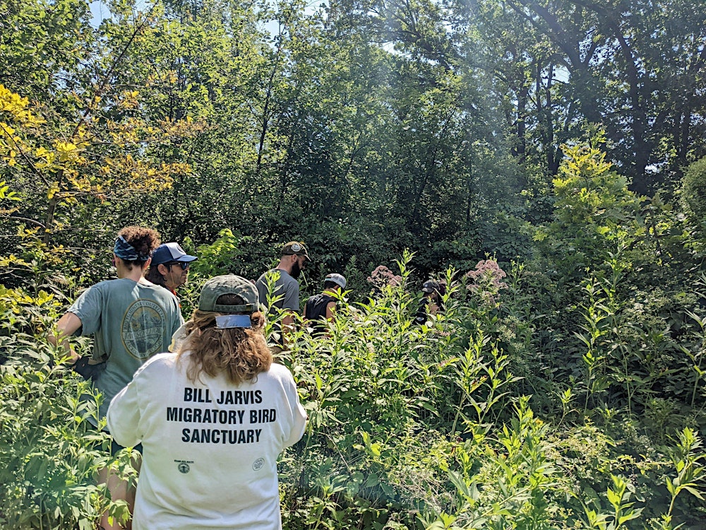 Bill Jarvis Migratory Bird Sanctuary: A Nature Lover's Haven - Birds