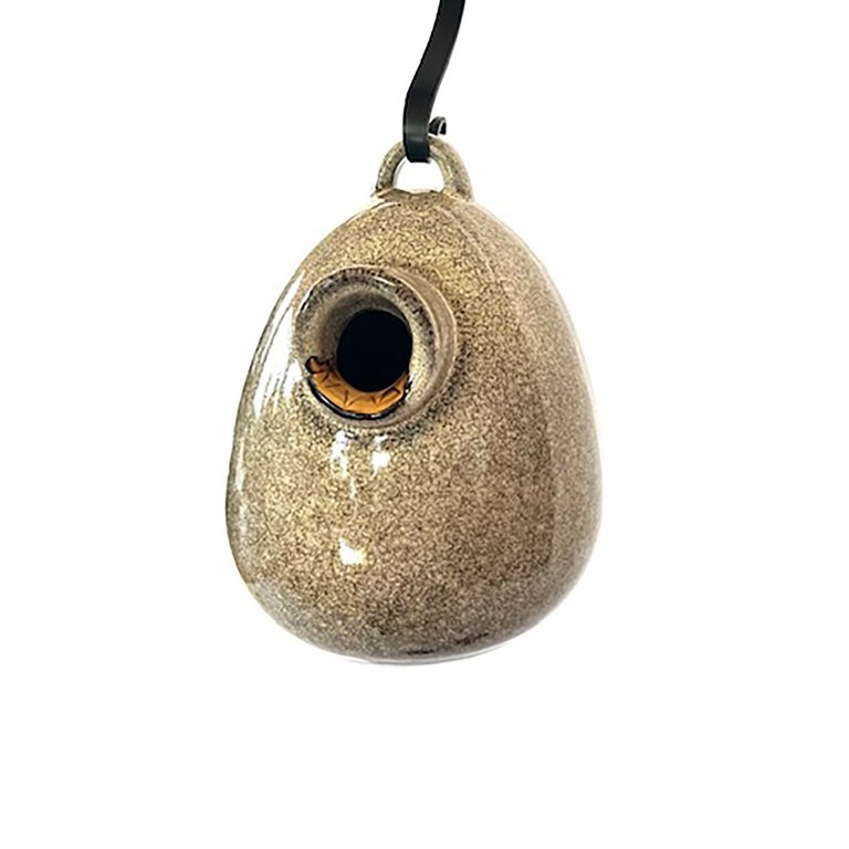 Bird Egg Protection: Essential Tips for Safe Nesting Success - Birds
