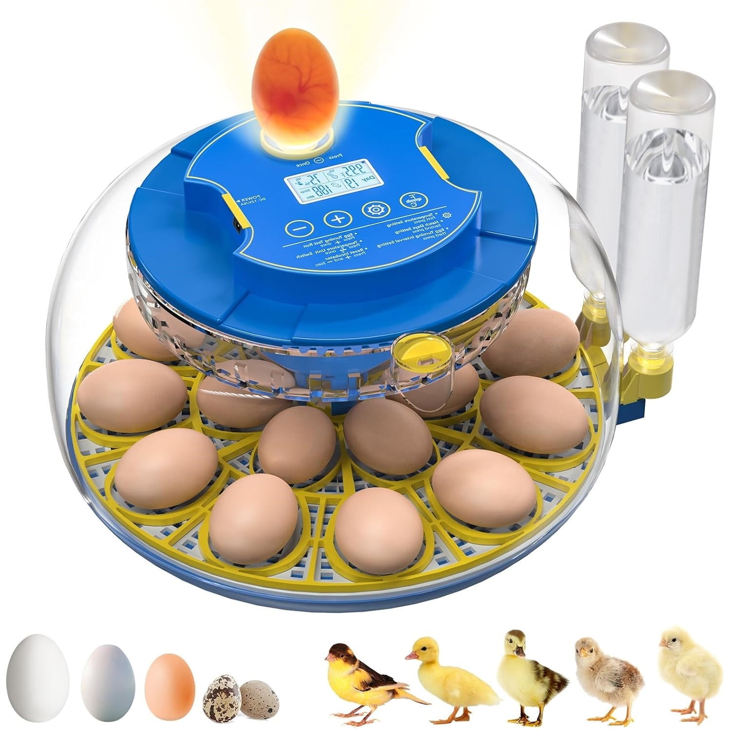 Bird Egg Temperature Control: Essential Tips for Perfect Hatching - Birds