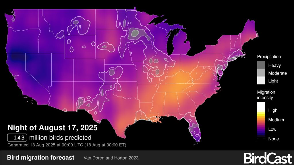 Bird Migration Charts: Ultimate Guide to Tracking Seasonal Journeys - Birds