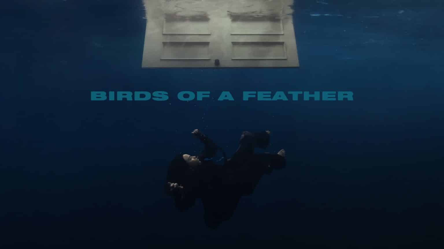 Birds of a Feather Song: Fun Facts and Catchy Melody