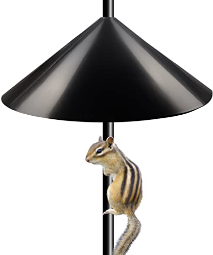 Chipmunk Proof Bird Feeder: Ultimate Squirrel-Resistant Outdoor ...