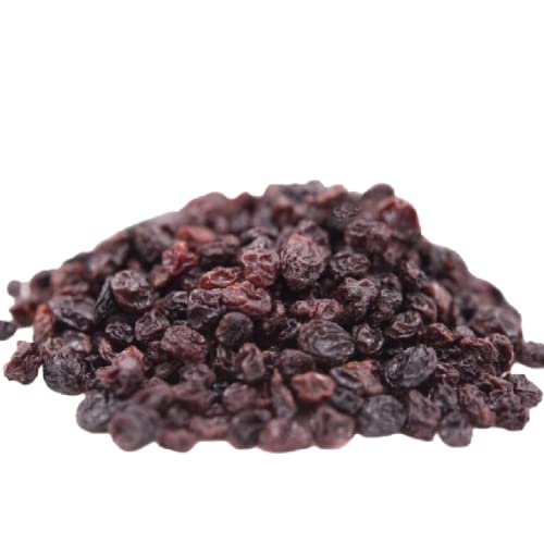 Do Birds Eat Currants? Discover Their Taste for Dried Zante Currants ...