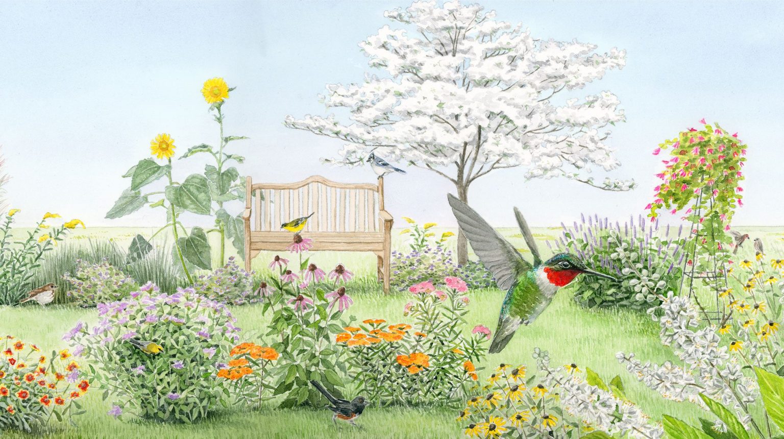 How to Attract Birds With Native Plants: Ultimate Guide to Wildlife ...