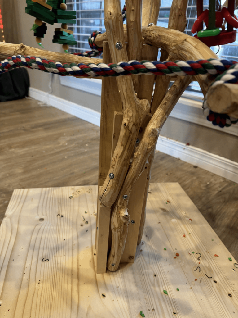 How to Make a Bird Perch Out of Wood: Easy DIY Guide - Birds