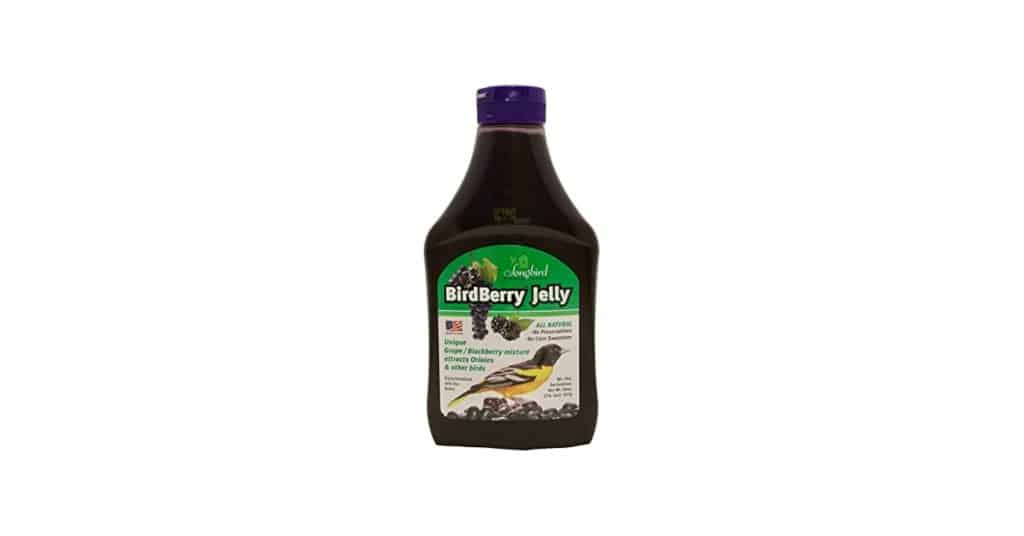 How to Make Bird Berry Jelly: Easy Steps for Delicious Homemade Treats ...