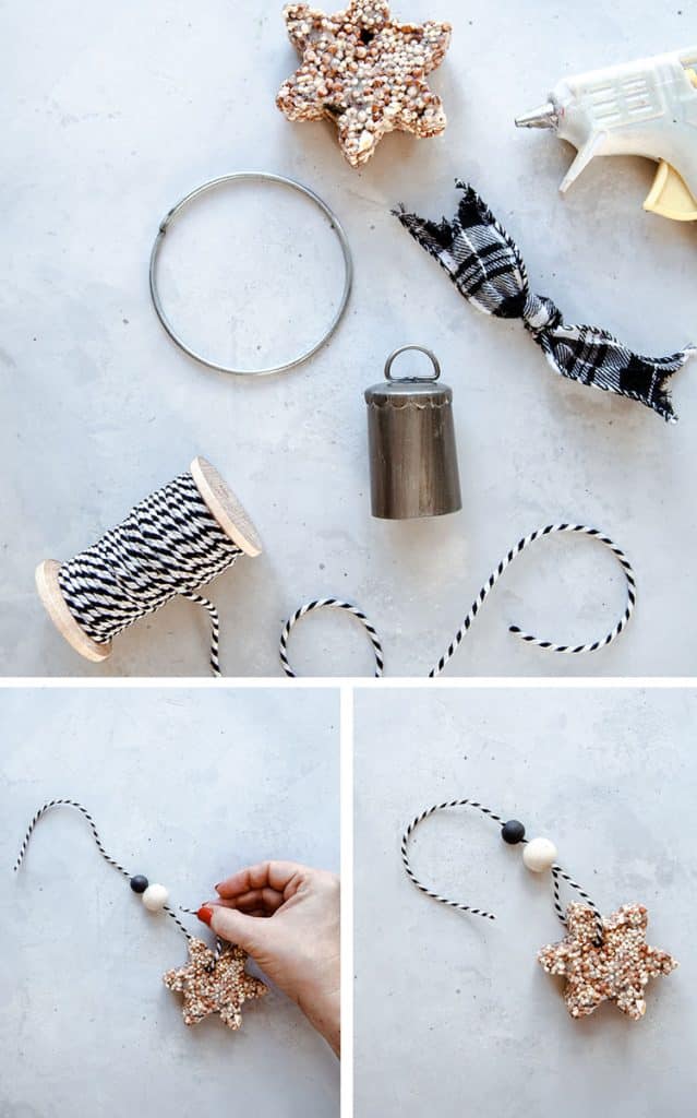 How to Make Bird Seed Bells: Easy DIY Guide for Wildlife Fans - Birds