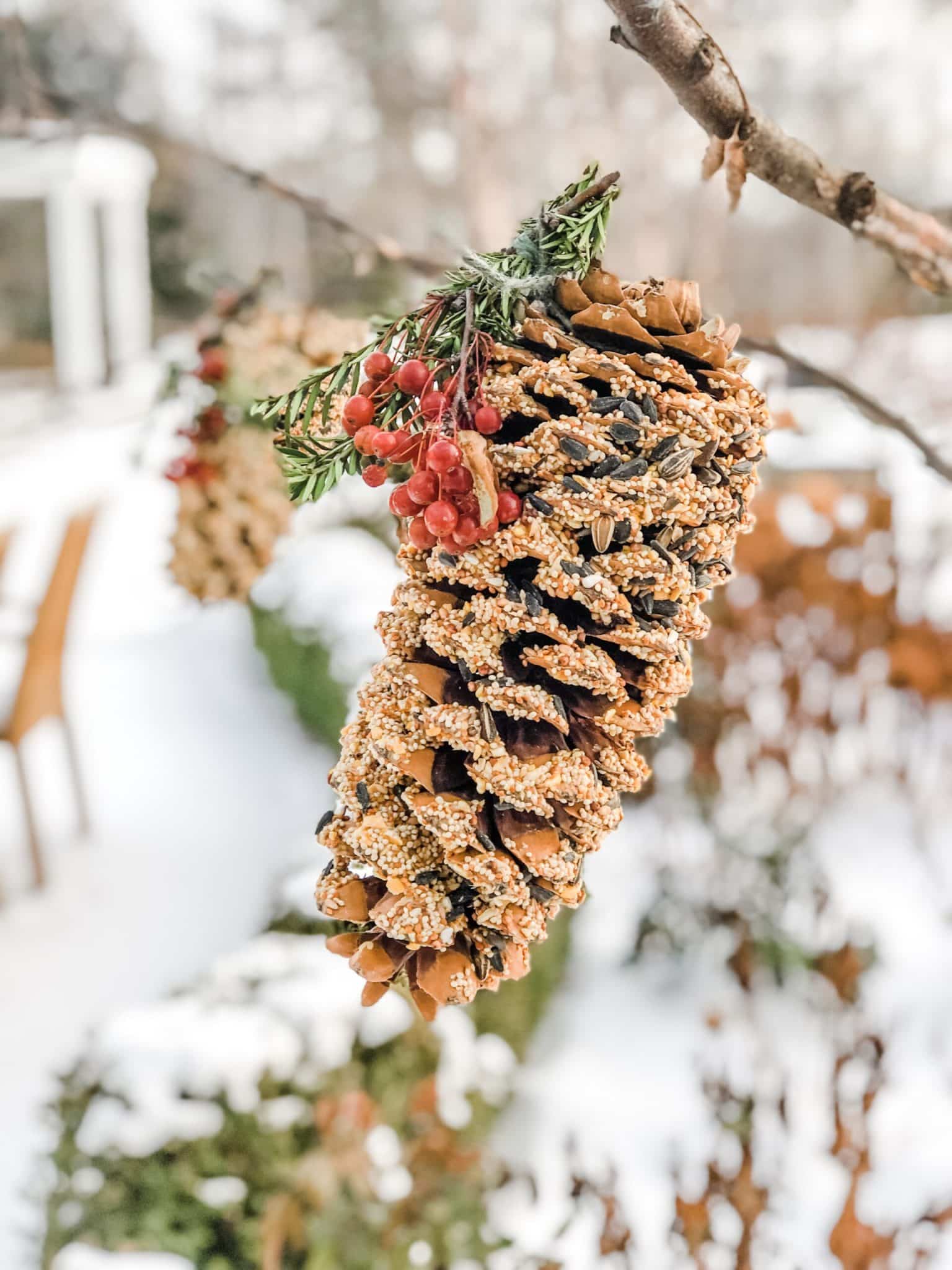 How to Make Bird Seed Pine Cones: Easy DIY Bird Feeder Guide - Birds