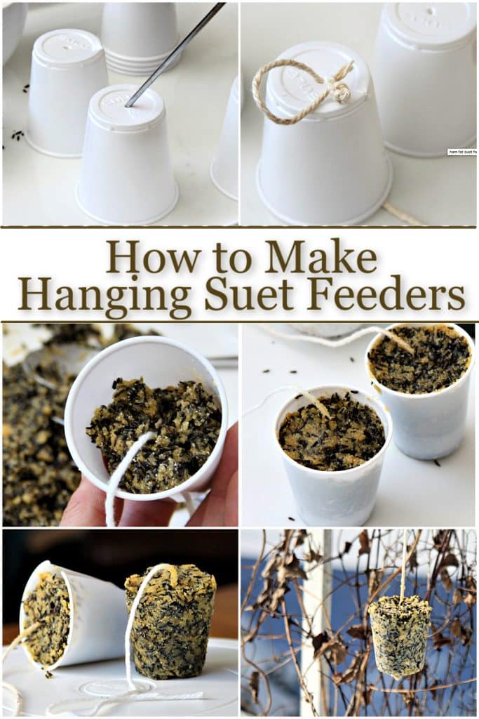 How to Make Homemade Bird Suet: Easy & Nutritious Recipe Guide - Birds