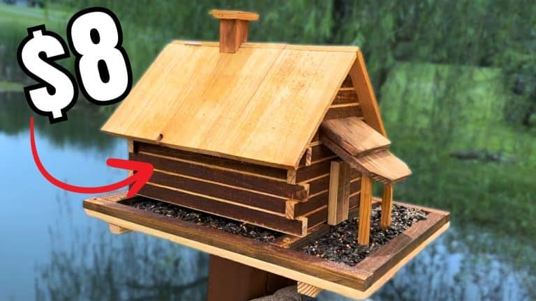 How to Make Your Own Wooden Bird Perch: Easy DIY Guide - Birds