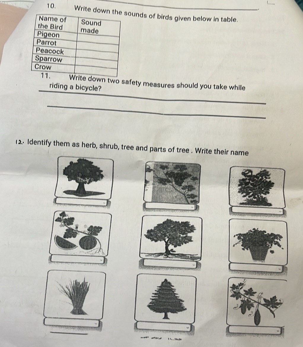 How to Write Bird Noises: Master Authentic Avian Sounds Easily - Birds