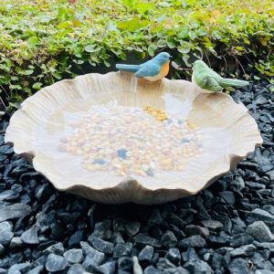Large Ground Bird Bath Ideas for Stunning Outdoor Wildlife Decor - Birds