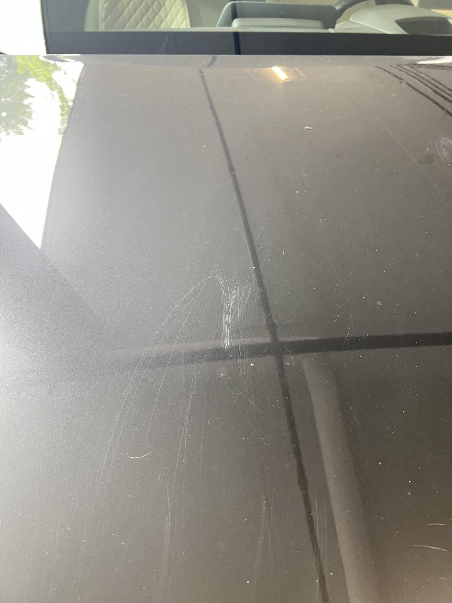 Old Bird Poop Stain on Car: Easy Removal Tips That Work Fast - Birds