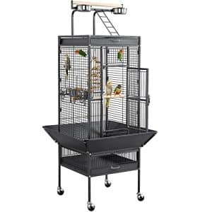 Quaker Bird Cage: Top Durable and Spacious Options for Parrots - Birds
