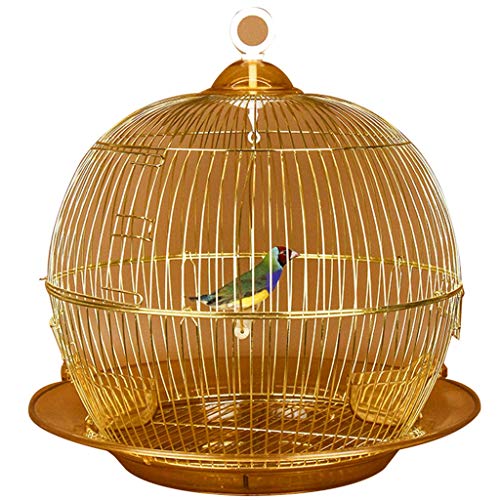 Retro Bird Cage Ideas: Elegant Vintage Decor for Home & Events - Birds