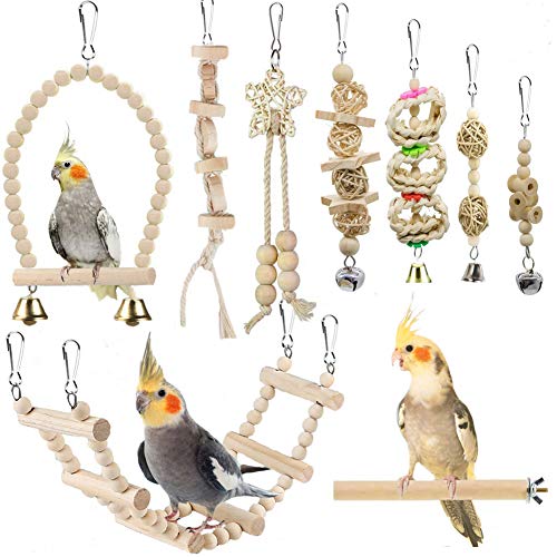 Safe Bird Toys: Top Durable and Non-Toxic Picks for Happy Birds - Birds