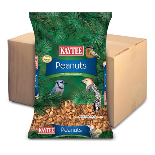 Shelled Peanuts for Birds: Best Protein-Rich Wild Bird Food Options - Birds