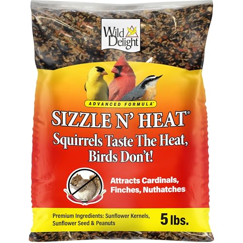 Spiced Bird Seed: The Ultimate Hot and Squirrel-Resistant Blend Guide ...