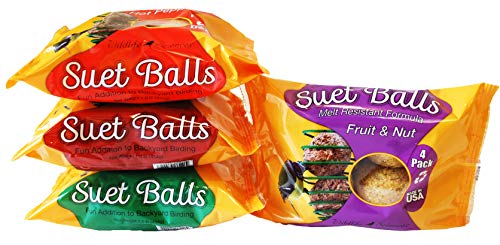 Suet Balls for Birds: Top Melt-Resistant and Nutritious Varieties ...