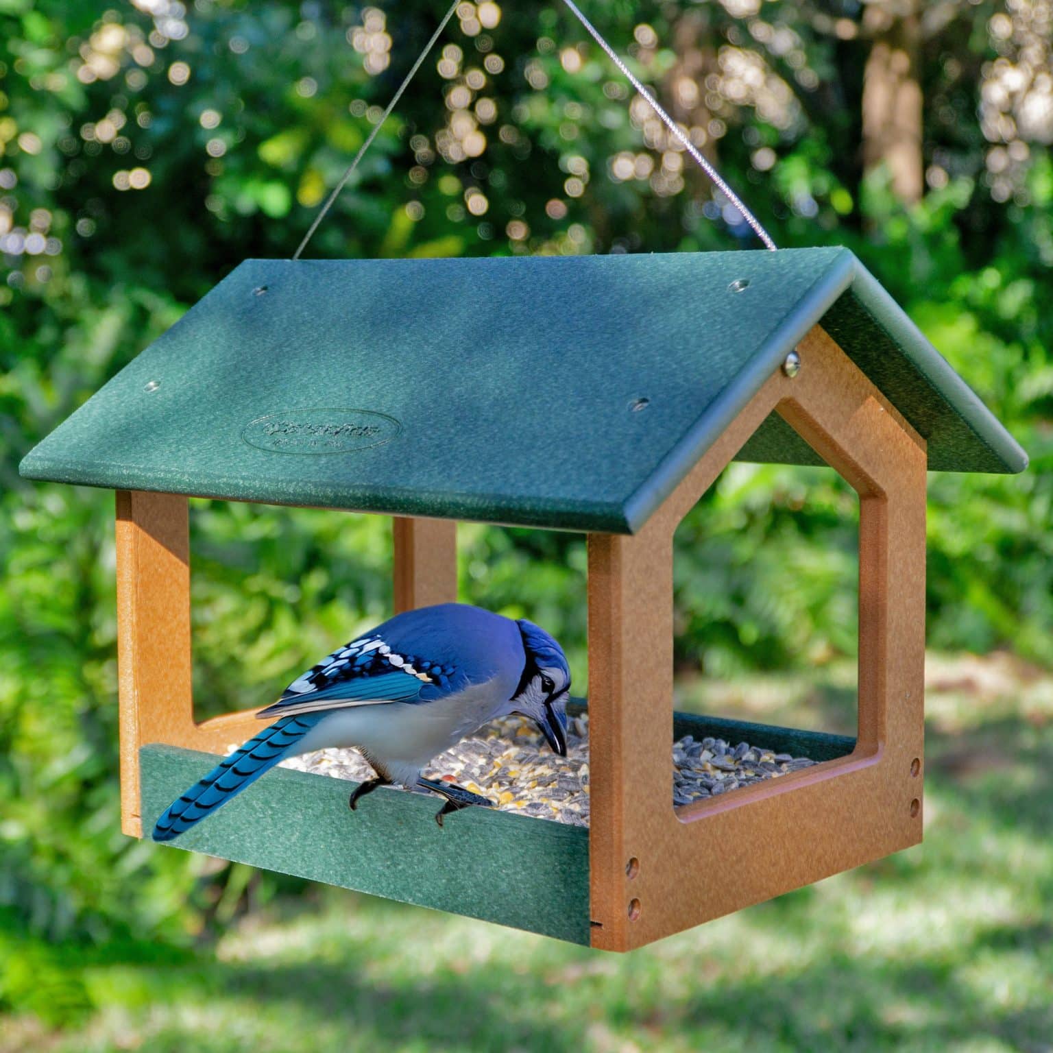 What are Hopper Bird Feeders: Ultimate Guide to Choose the Best - Birds