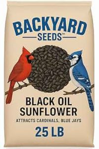 What Bird Seed Attracts Blue Jays: Top Picks to Lure Them Fast - Birds