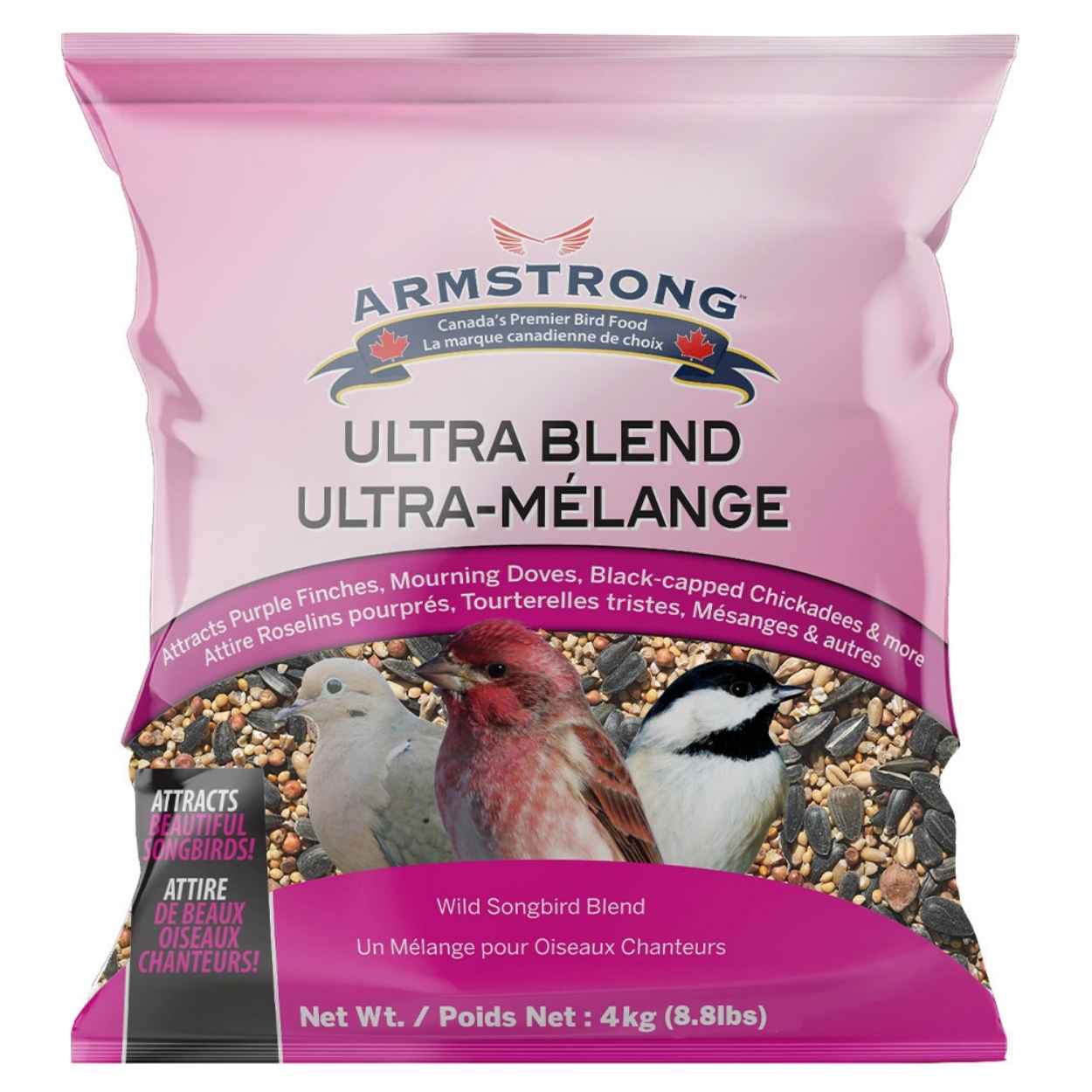 What Bird Seed Attracts Doves: Top Picks to Lure Them Fast - Birds