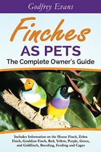 What Do Finches Eat in the Wild? Essential Feeding Guide for Owners - Birds