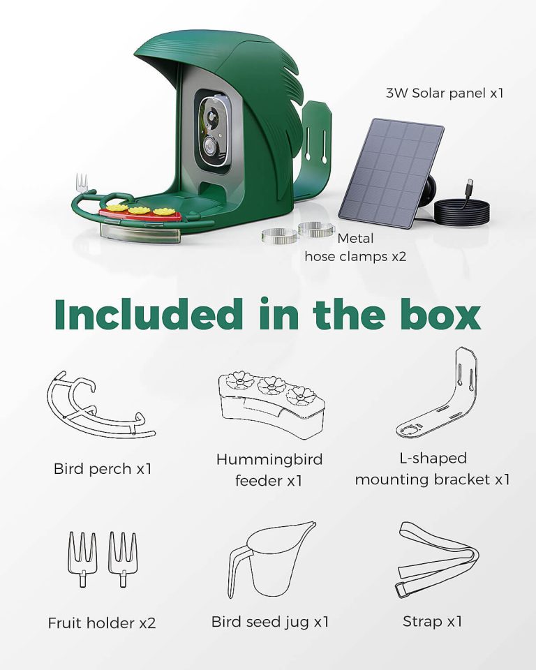 What is Optimal Perch Size for Bird Feeders: Ultimate Guide - Birds