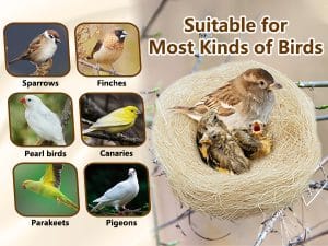 What Materials Do Birds Use for Nests: Natural Choices