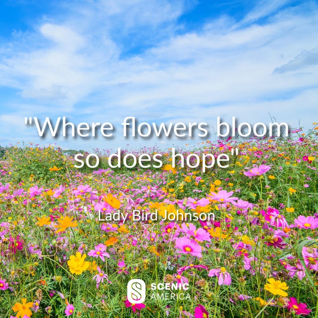 Where Flowers Bloom So Does Hope Lady Bird Johnson: Inspiring Wisdom ...