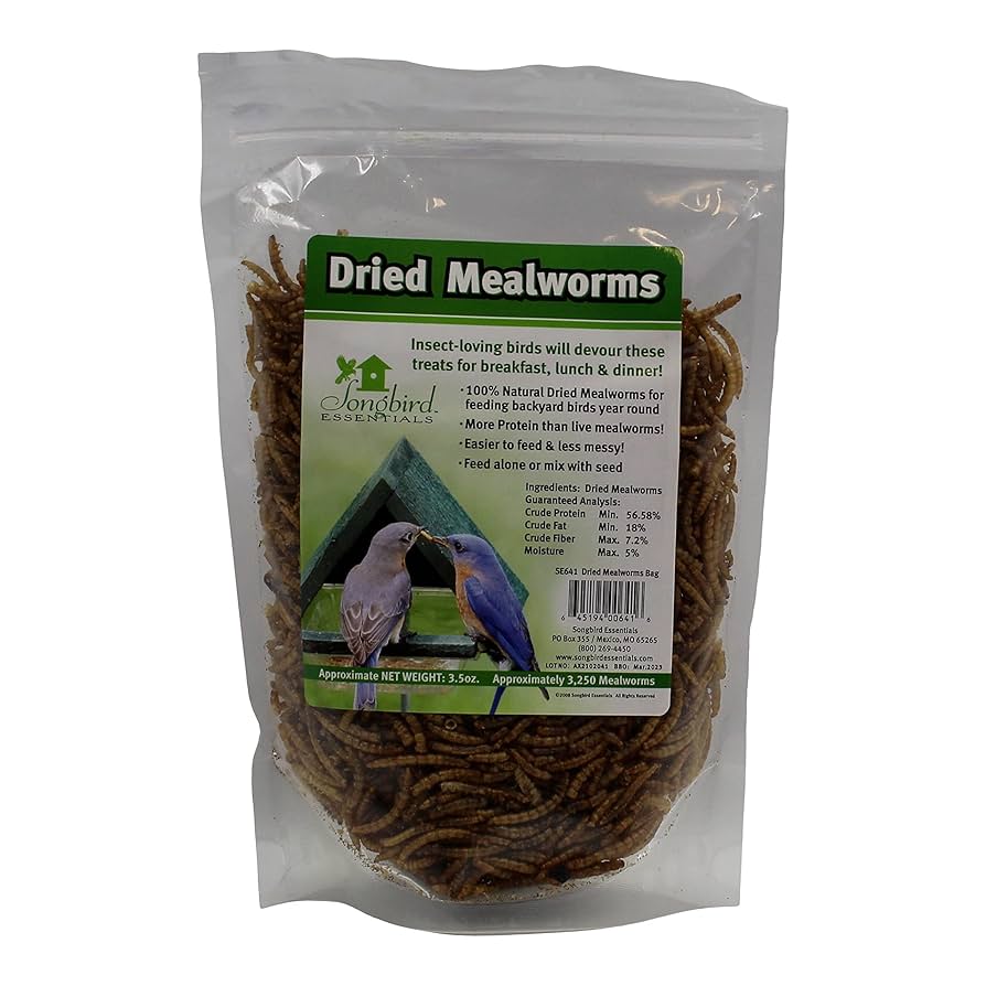 Which Worm to Feed Wild Birds: Best Choices for Healthy Flocks - Birds