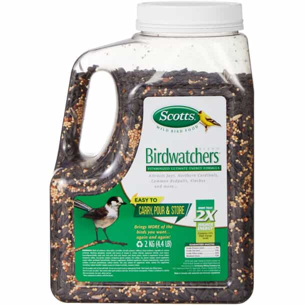 Who Has the Cheapest Bird Seed: Top Affordable Picks Revealed - Birds