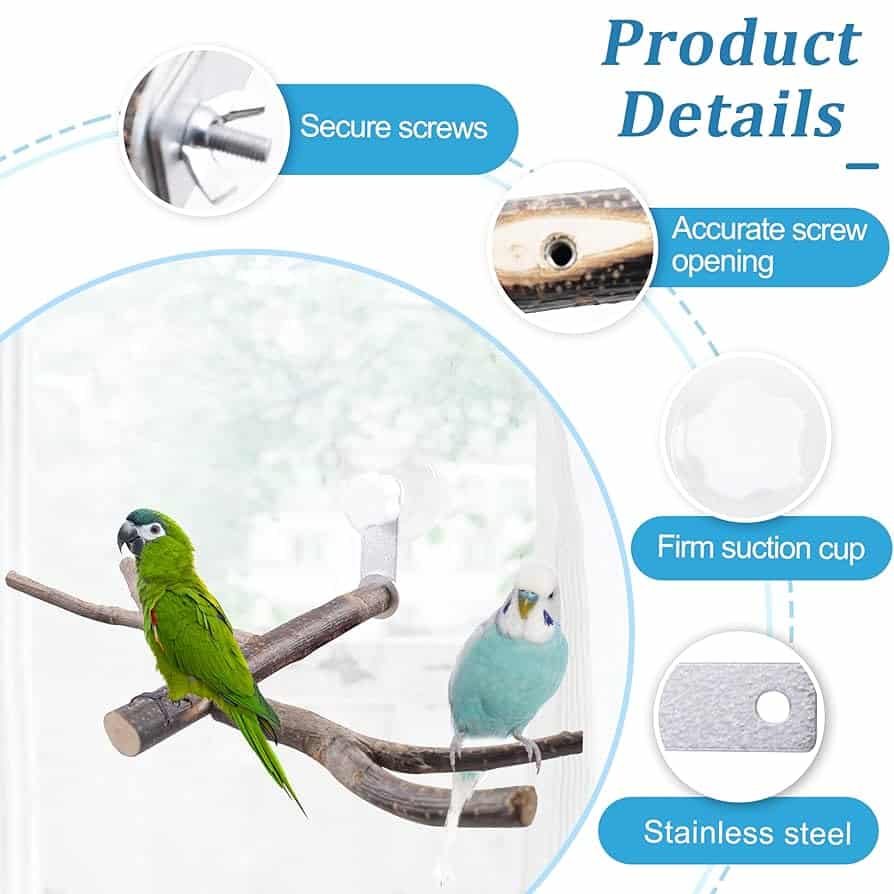 Will a Bird Perch on You: Surprising Reasons and Tips Revealed - Birds