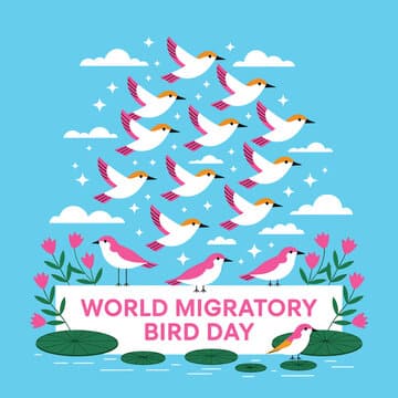 World Migratory Bird Day: Celebrate Nature’s Winged Wonders - Birds