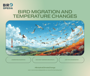 Bird Migration And Temperature Changes: The Fascinating Science Behind ...