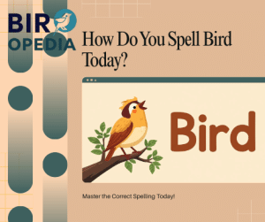How Do You Spell Bird: Master the Correct Spelling Today! - Birds