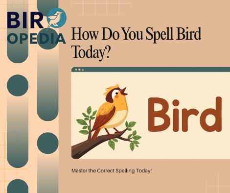 How Do You Spell Bird: Master the Correct Spelling Today! - Birds