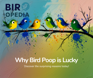 Why is Bird Poop Good Luck: Surprising Reasons You Must Know - Birds