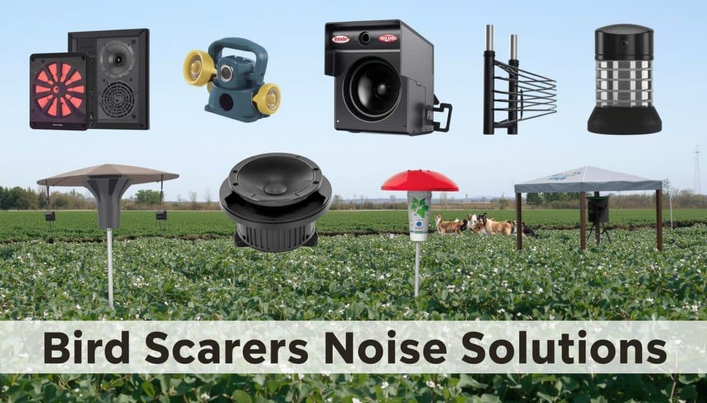 Bird Scarers Noise Solutions: Effective Ultrasonic and Visual Bird ...