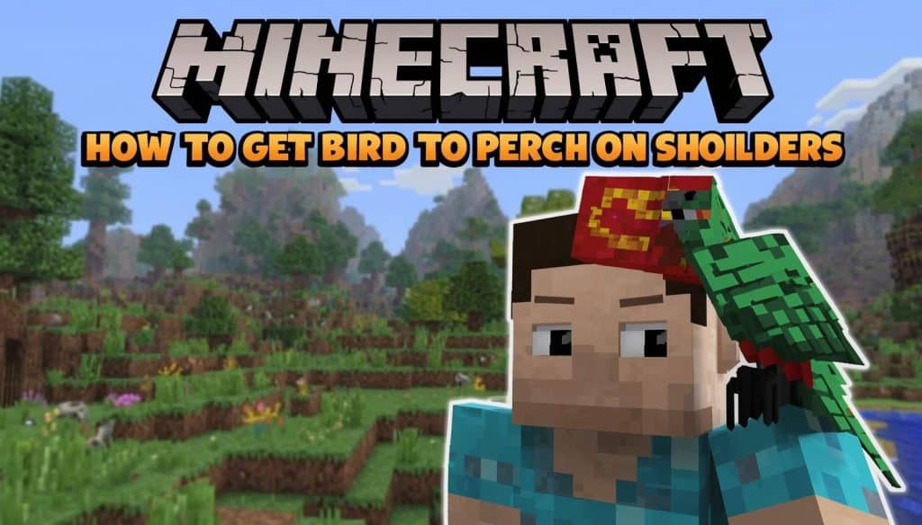 How to Get Bird to Perch on Shoulder Minecraft: Ultimate Guide - Birds
