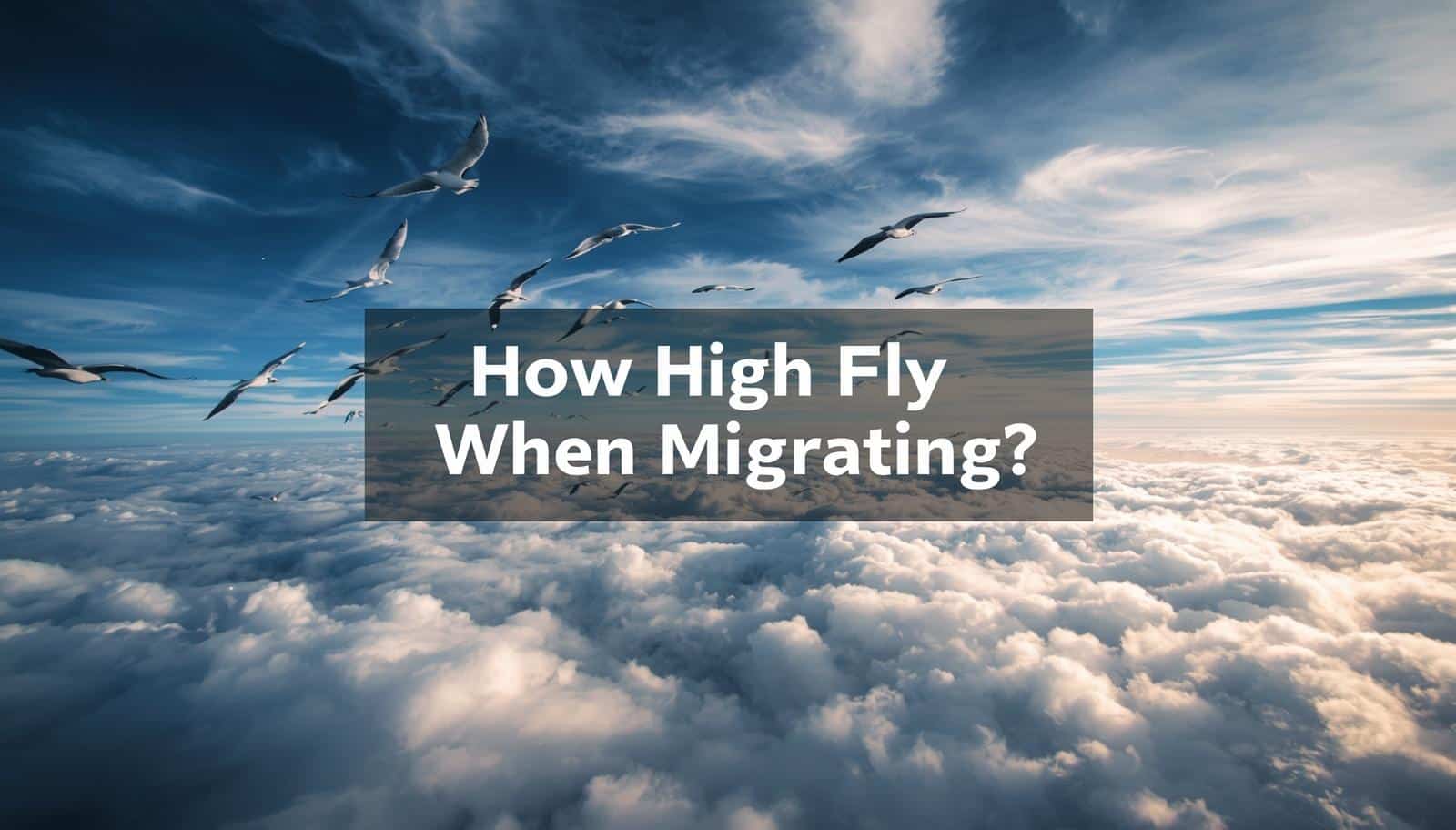 How High Do Birds Fly When Migrating: Amazing Facts About Their ...