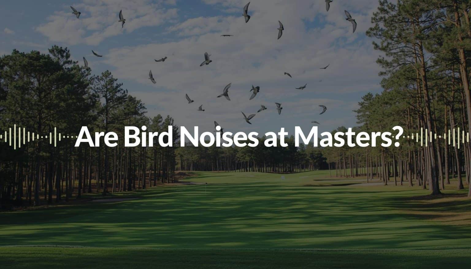 Are Bird Noises at Masters Real? Amazing Truth You Didn’t Know - Birds