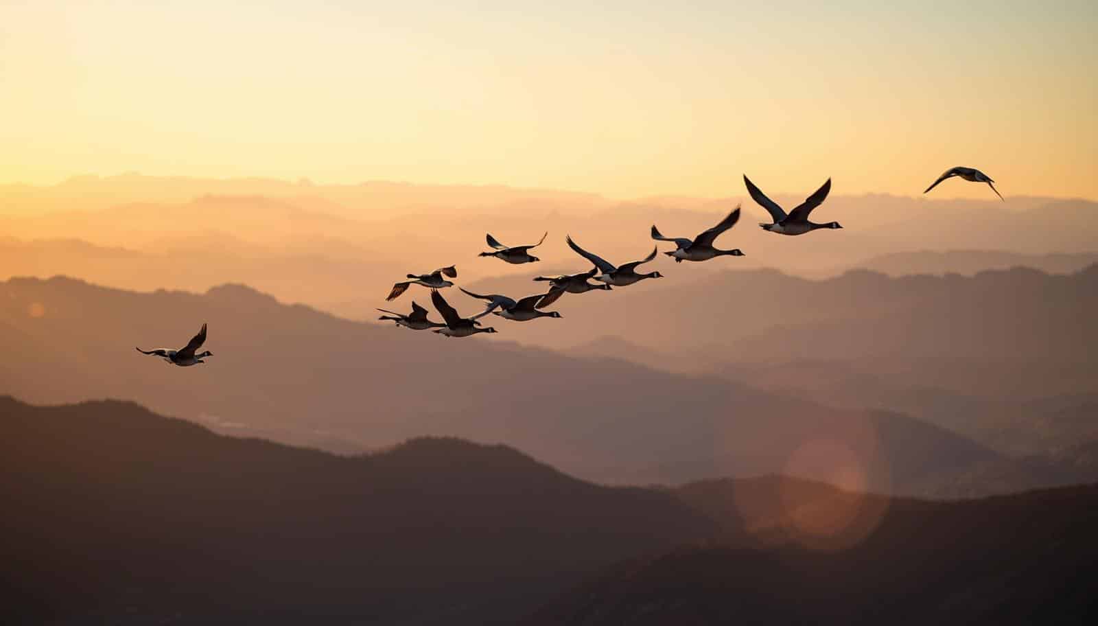 How Do Birds Know When to Migrate: Amazing Secrets That Will Surprise ...