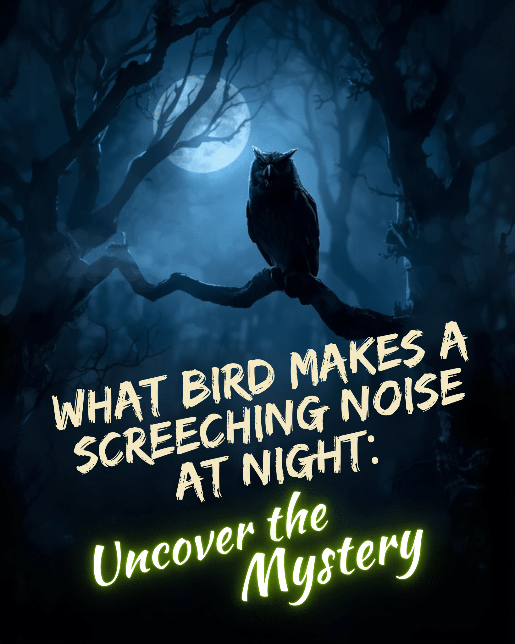 What Bird Makes a Screeching Noise at Night: Ultimate Guide to ...